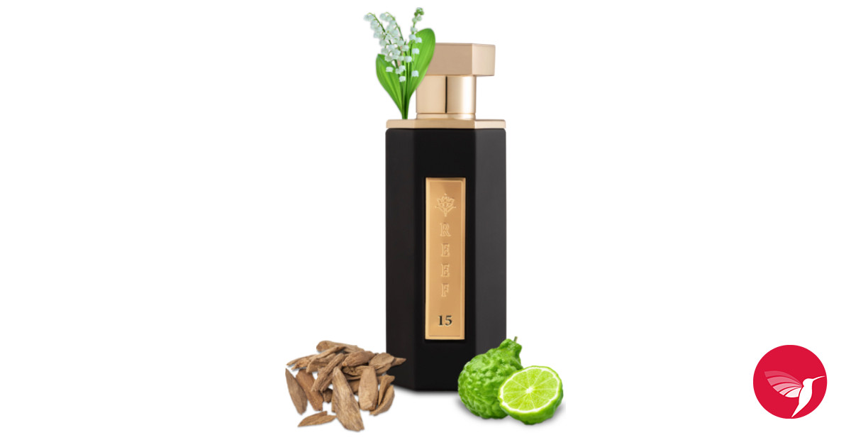 REEF15 Reef Perfumes cologne - a fragrance for men 2024