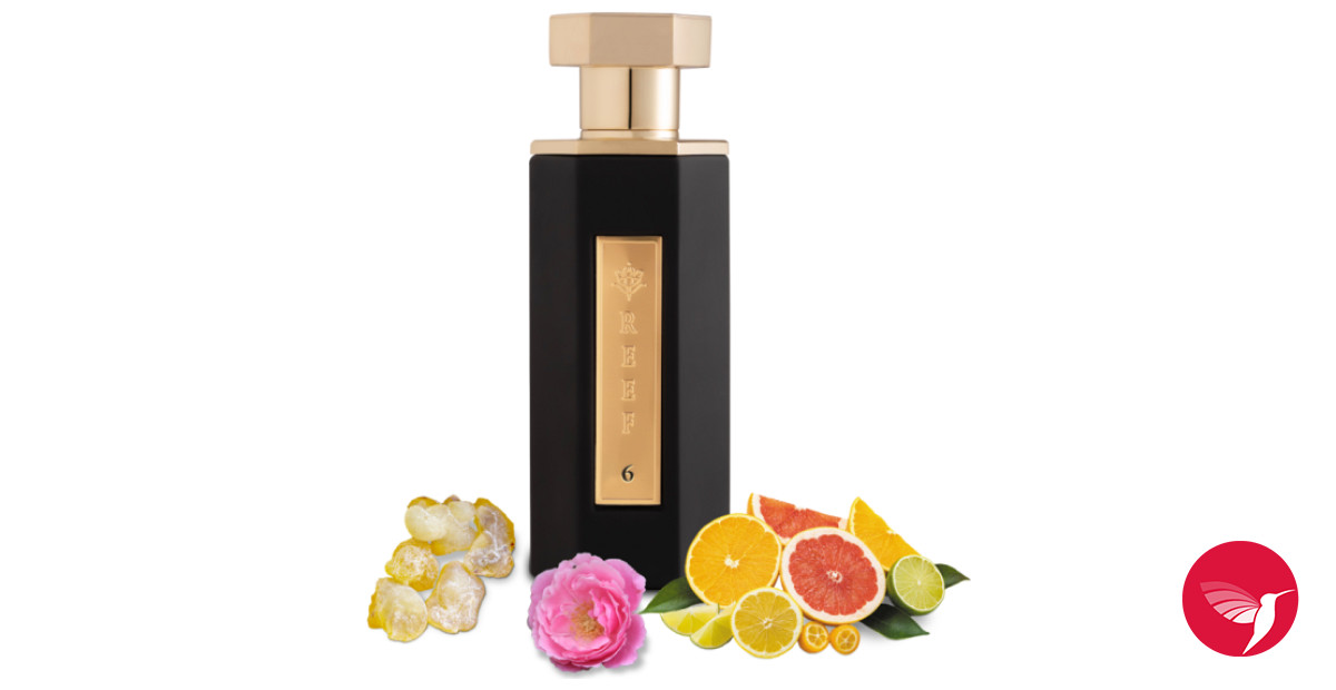Reef 06 Reef Perfumes perfume - a fragrance for women 2024