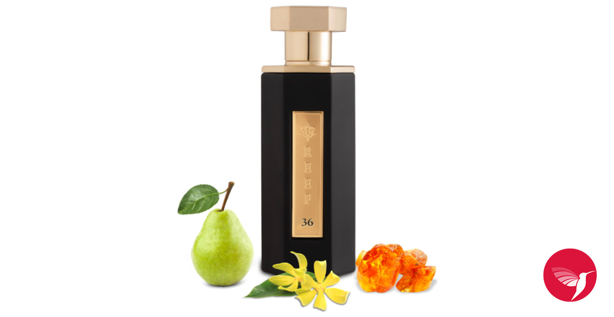 REEF 36 Reef Perfumes perfume - a fragrance for women 2024