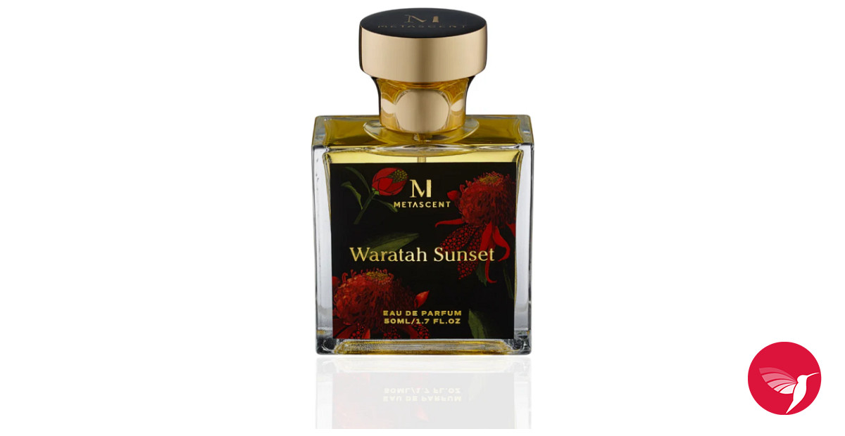 Waratah Sunset MetaScent perfume - a new fragrance for women and men 2024