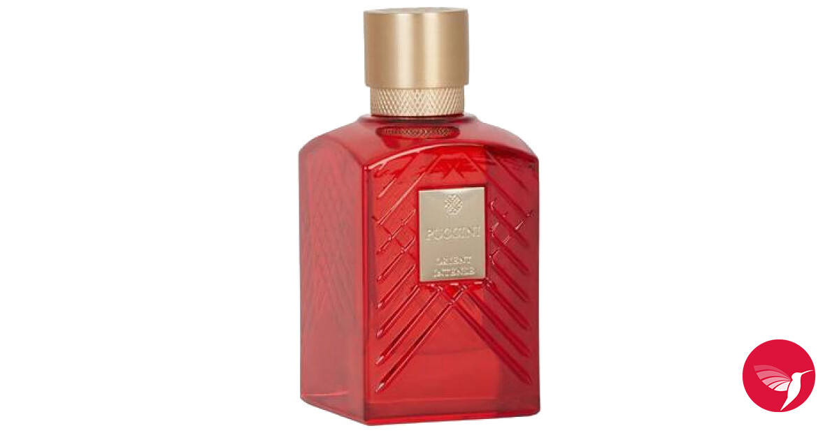 Orient Intense Puccini Paris perfume - a new fragrance for women 2024