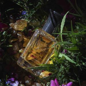 Monte Kush Extra Virgo perfume - a fragrance for women and men