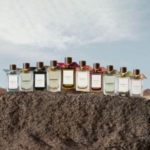 Ash Flower Burberry perfume - a fragrance for women and men 2023