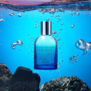 North Atlantic Right Whale Sanctuary perfume - a fragrance for women ...