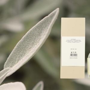 Radiant Moudon perfume - a fragrance for women and men 2022