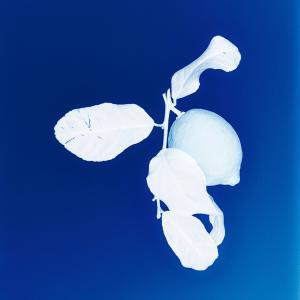 Gant (2023) Gant cologne - a fragrance for men 2023