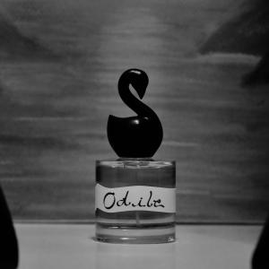 Odile Gumamina perfume - a fragrance for women and men 2023