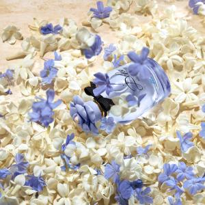 Dolce Blue Jasmine Dolce&Gabbana perfume - a new fragrance for women 2024
