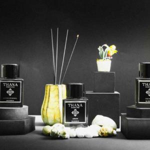 Agrumi Thana perfume - a fragrance for women and men 2023