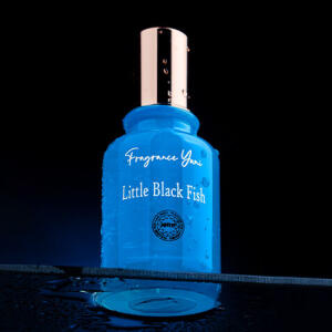 Little Black Fish YANI perfume - a new fragrance for women and men 2023