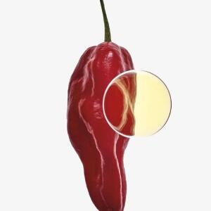 Loewe 7 Elixir Loewe cologne - a new fragrance for men 2024