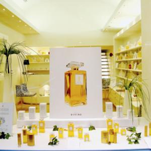 Divine Divine perfume - a fragrance for women 1986