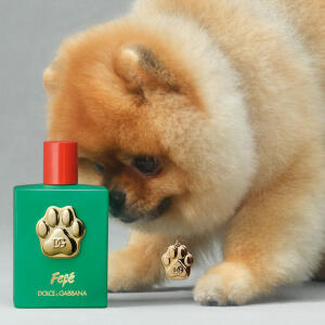 Fefé Dolce&Gabbana perfume - a new fragrance for women and men 2024