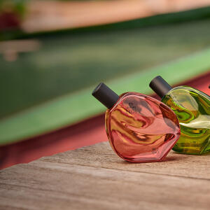 Ryo Festa Natura perfume - a novo fragrância Compartilhável 2024