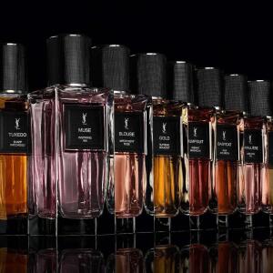Muse Yves Saint Laurent perfume - a new fragrance for women and men 2025