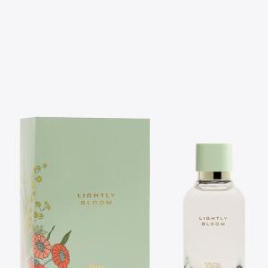 Lightly Bloom Zara perfume - a new fragrance for women 2025