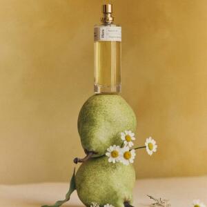 Autumn 25 Ffern perfume - a new fragrance for women and men 2025