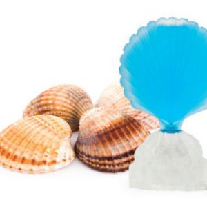 Shell Seajewels perfume - a fragrance for women