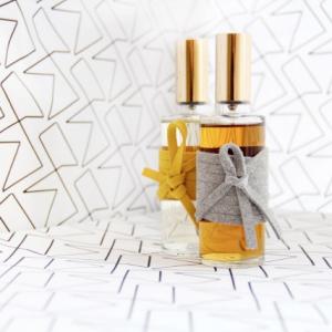 Attache-Moi 55 ICONOFLY perfume - a fragrance for women and men 2013