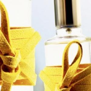 Attache-Moi 55 ICONOFLY perfume - a fragrance for women and men 2013