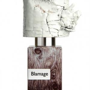 Blamage Nasomatto perfume - a fragrance for women and men 2014