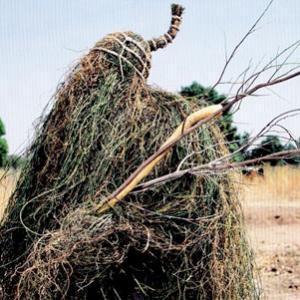 Viride Orto Parisi perfume - a fragrance for women and men 2014