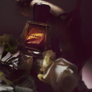 Nevermore Frapin perfume - a fragrance for women and men 2014