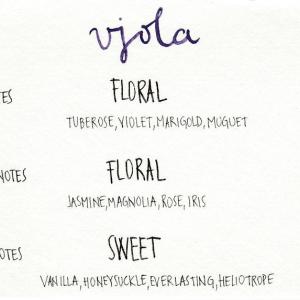 Vjola Nishane perfume - a fragrance for women and men 2014