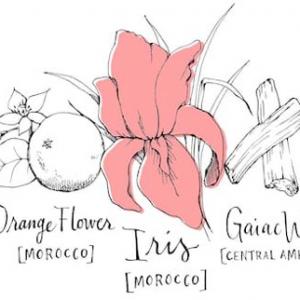 Iris Rebelle Atelier Cologne perfume - a fragrance for women and men 2018