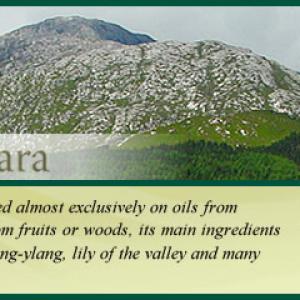 Connemara Fragrances of Ireland perfume - a fragrance for women