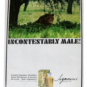 Signoricci Nina Ricci cologne - a fragrance for men 1965