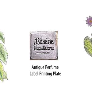 Boheme Confection Aftelier perfume - a new fragrance for women and men 2022