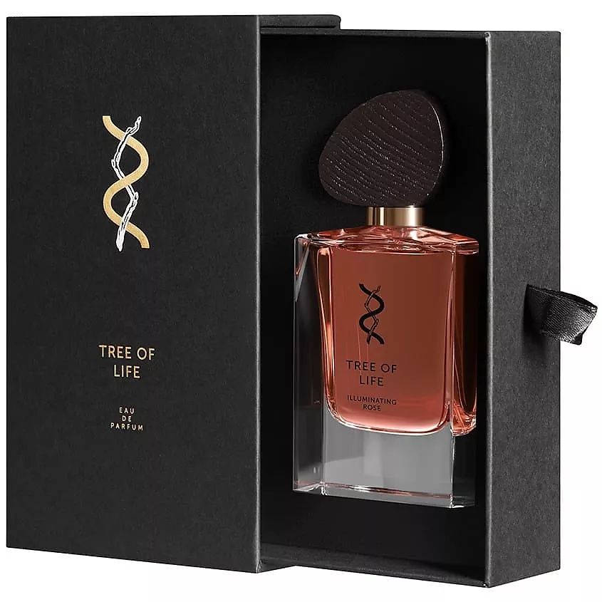 Illuminating Rose Tree Of Life perfume - a new fragrance for women 2023