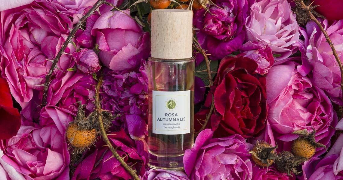 Rosa Autumnalis Rosae Virtus perfume - a fragrance for women and men 2023