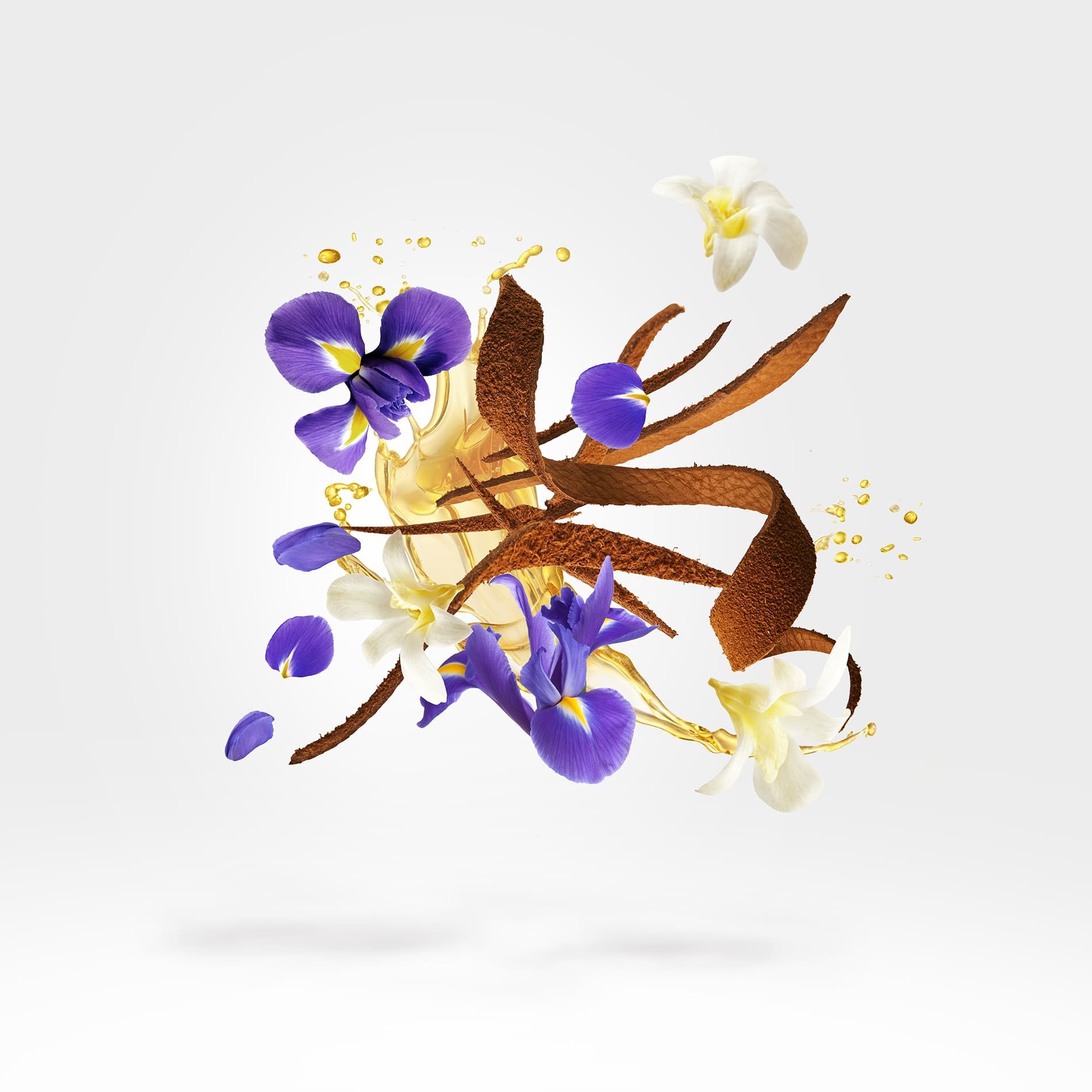 Aqua Regia Xerjoff perfume - a new fragrance for women and men 2023