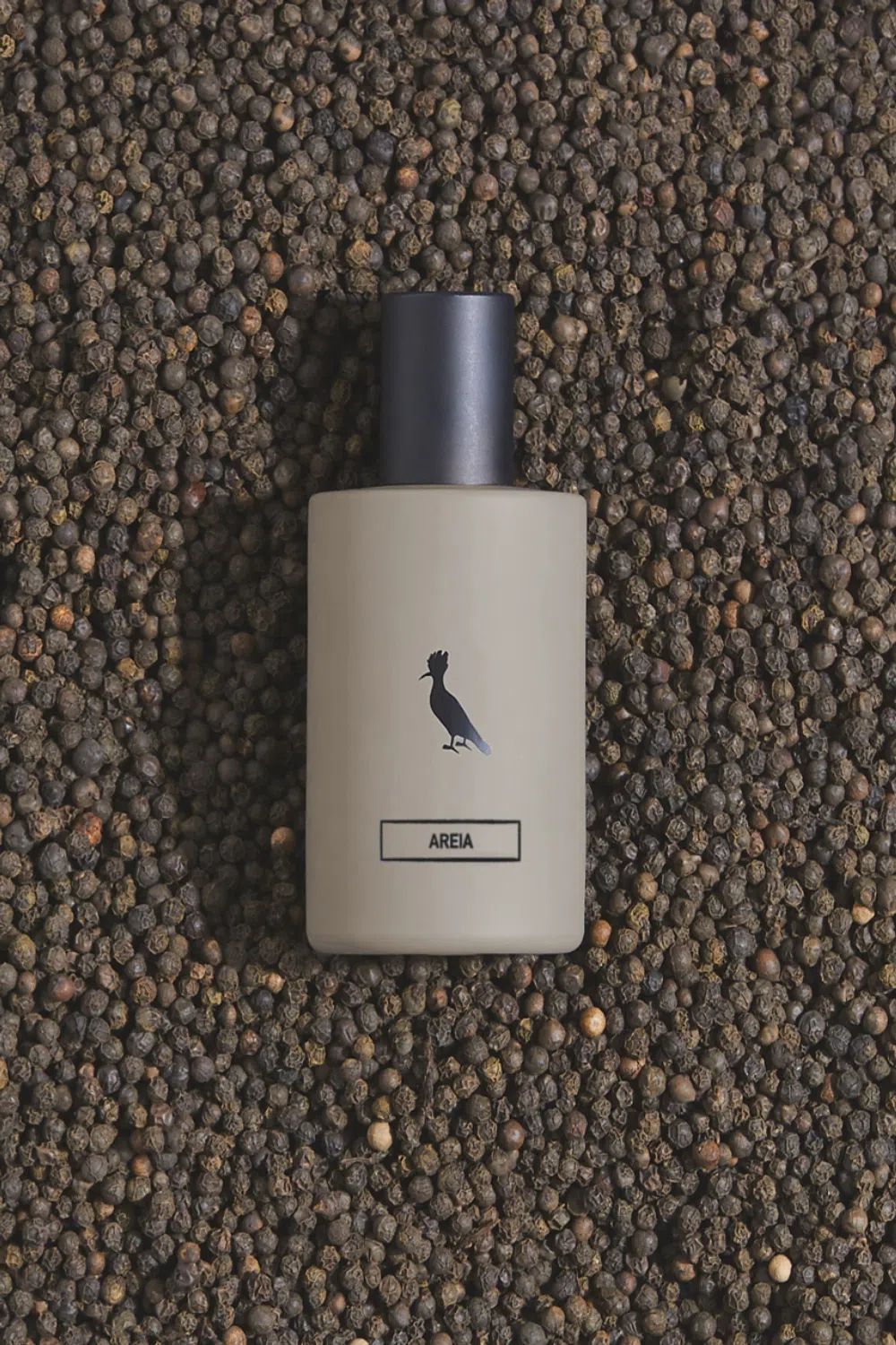 Areia Reserva cologne - a fragrance for men 2021