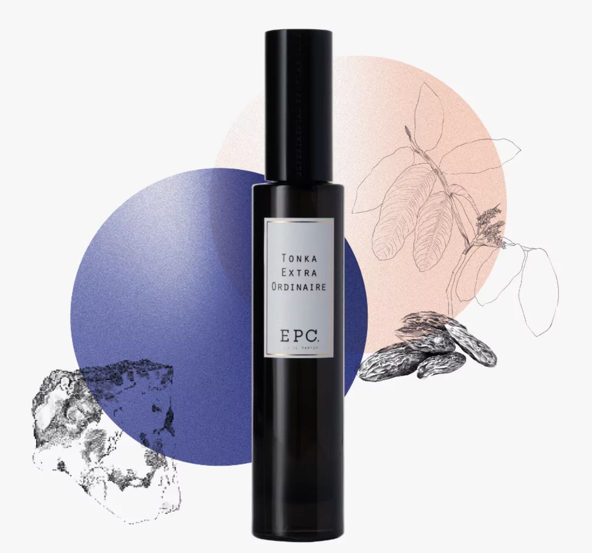 Tonka Extraordinaire EPC Experimental Perfume Club perfume - a new ...
