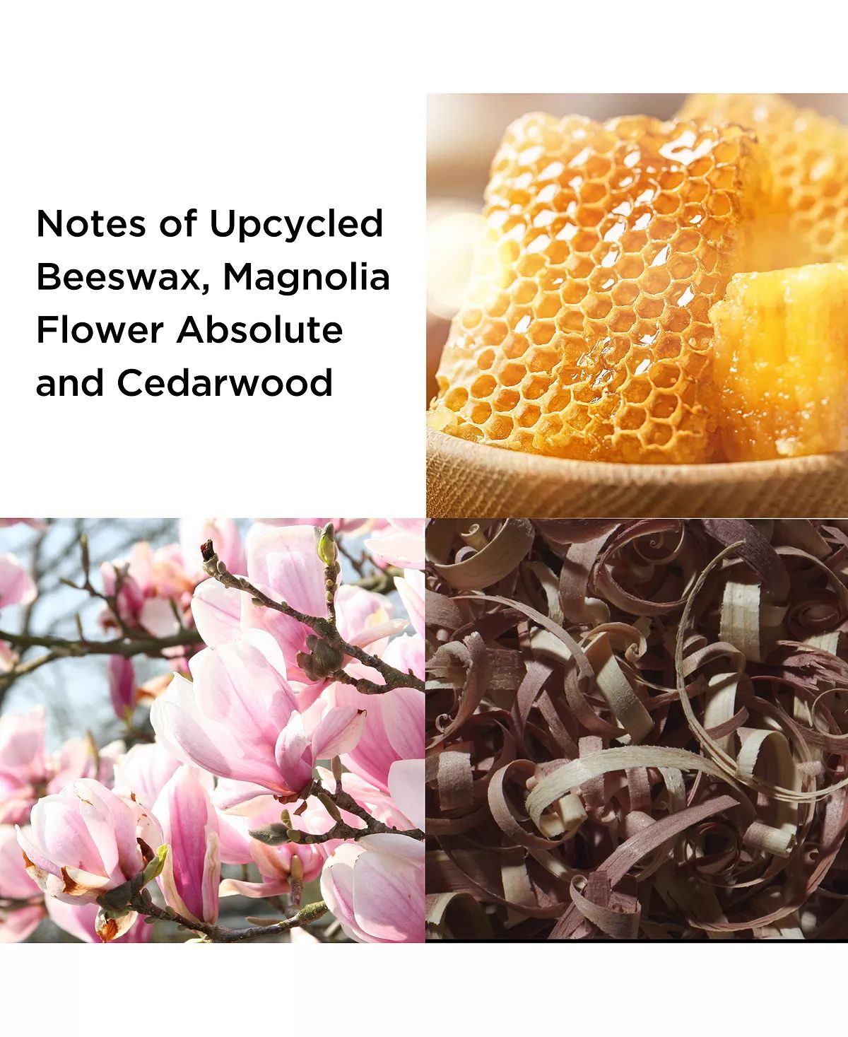 Sunflowers HoneyDaze Elizabeth Arden perfume - a fragrance for women 2023