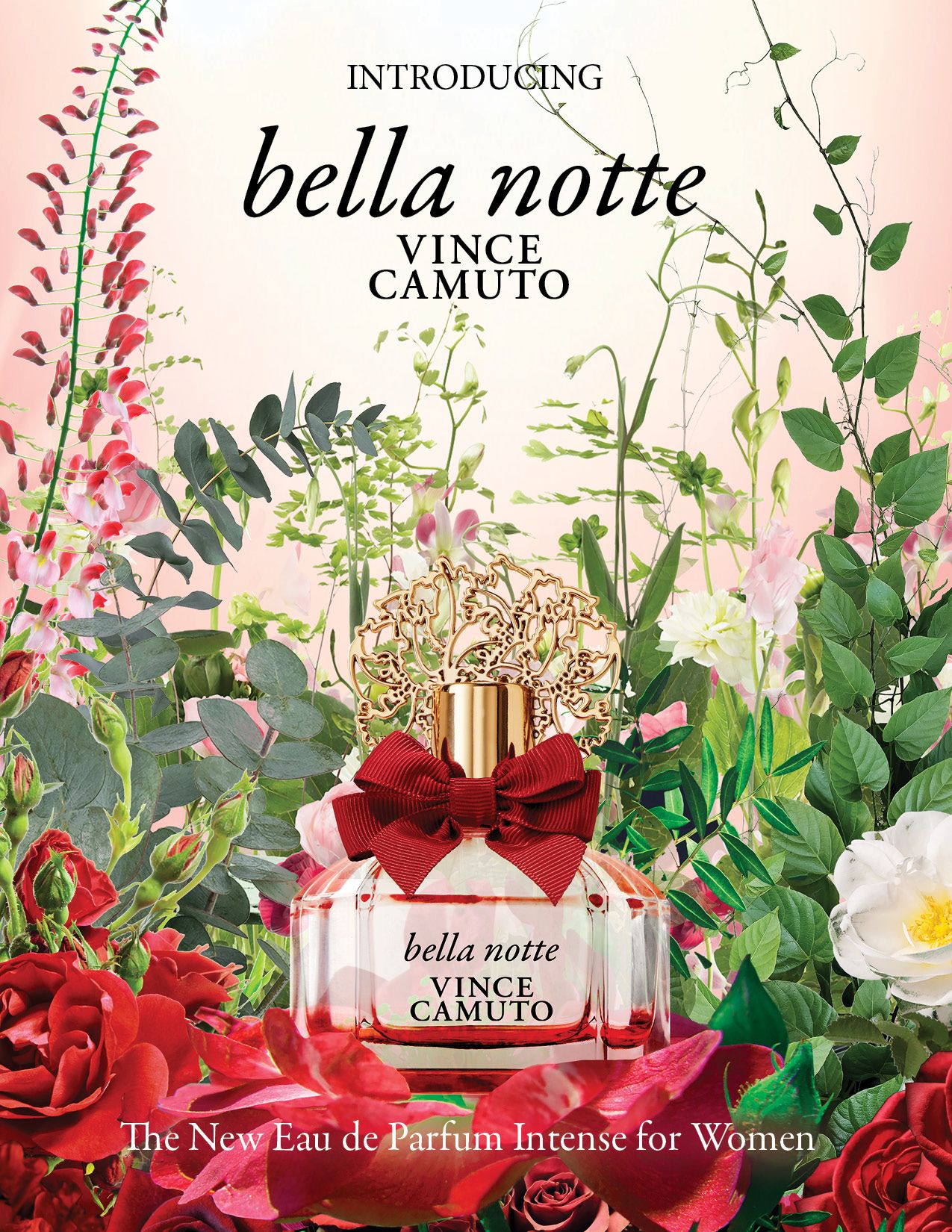 Bella Notte Vince Camuto perfume - a fragrance for women 2023