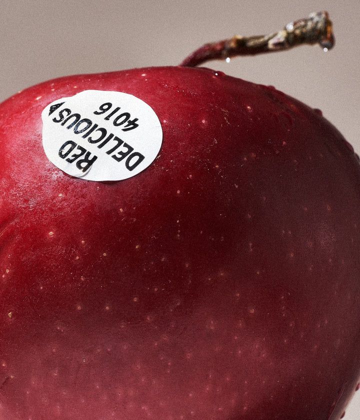 Chill AF Addison Rae perfume - a new fragrance for women 2023