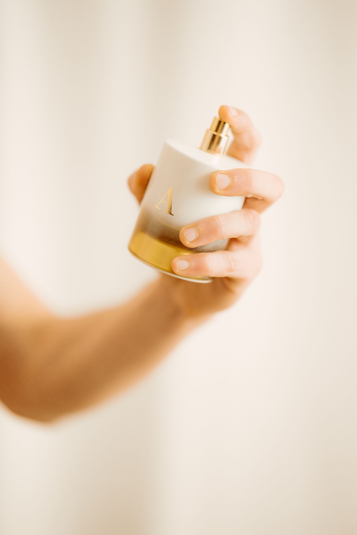 A Pantheon Roma perfume - a new fragrance for women and men 2023