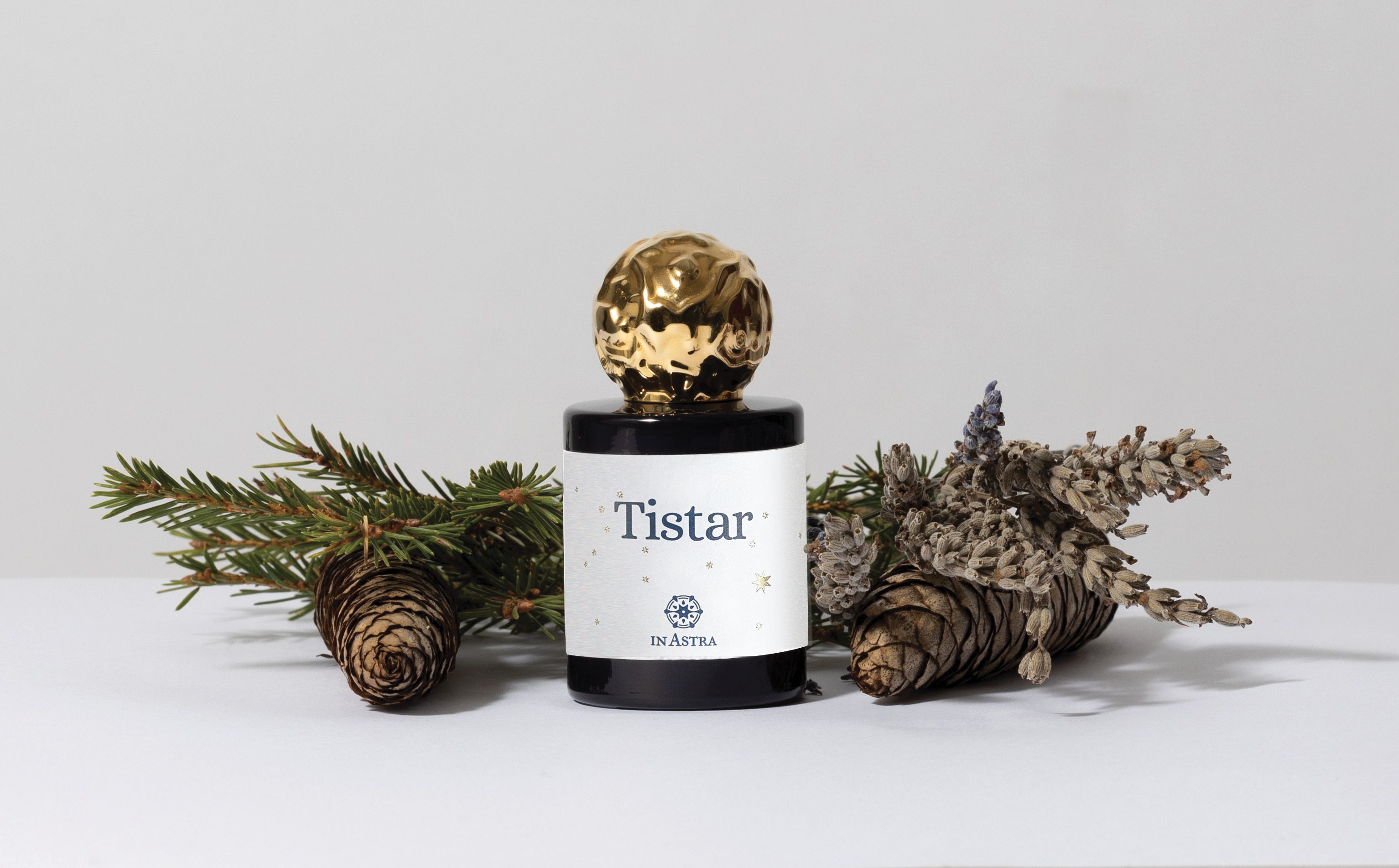 Tistar In Astra perfume - a fragrance for women and men 2022