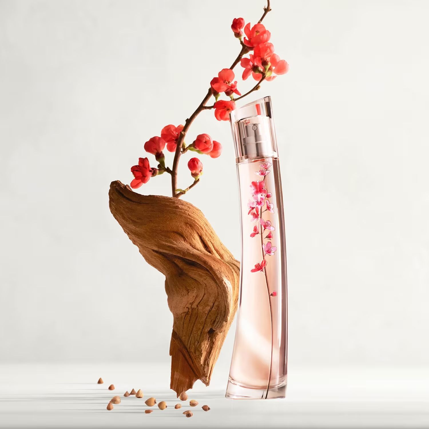 Flower Ikebana Sakura Kenzo perfume - a new fragrance for women 2023