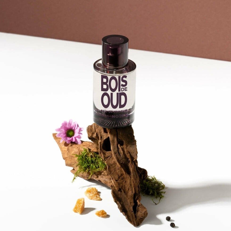 Santal Solinotes perfume - a new fragrance for women and men 2023