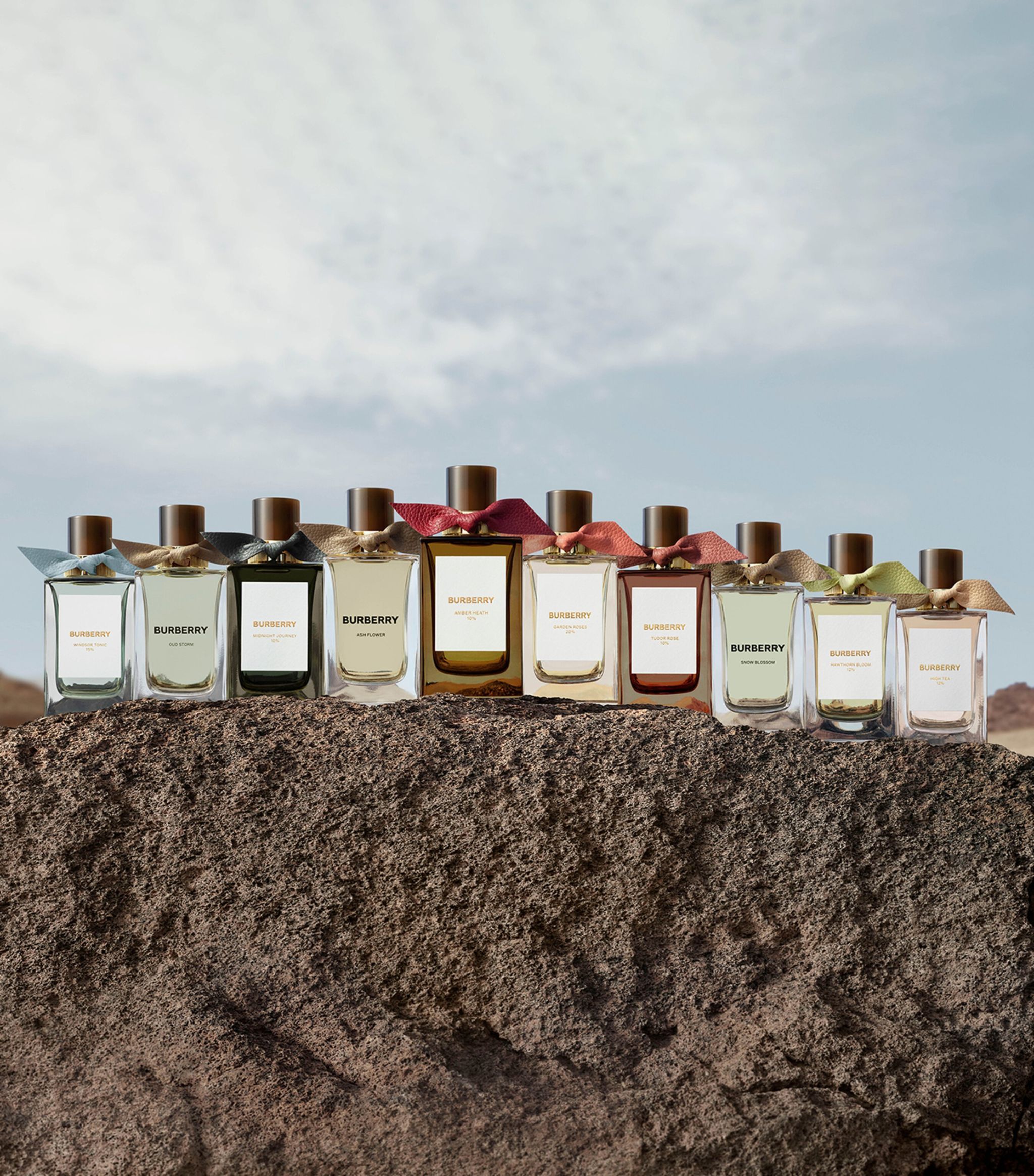 Ash Flower Burberry perfume - a fragrance for women and men 2023