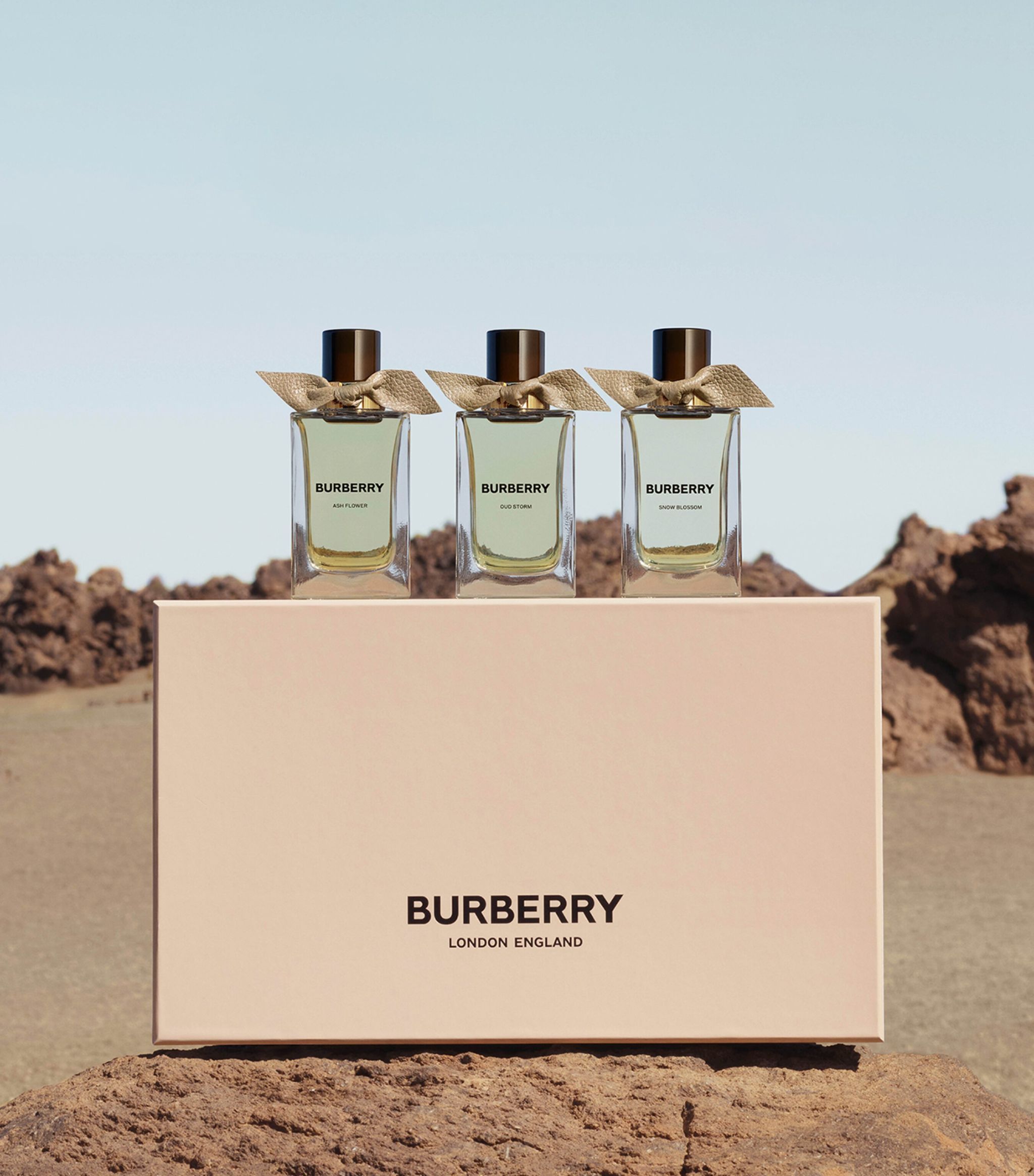Ash Flower Burberry perfume - a new fragrance for women and men 2023