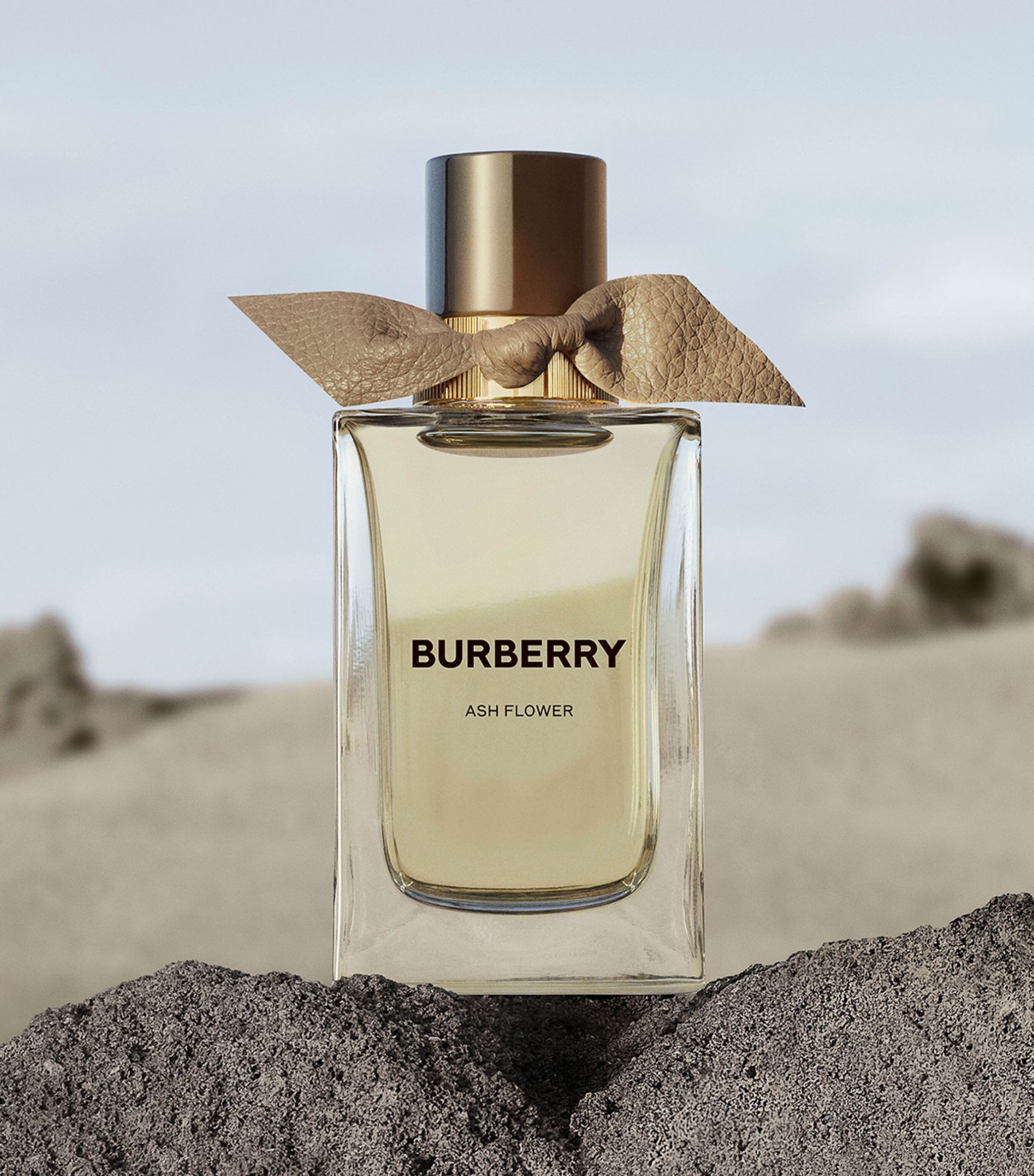 Ash Flower Burberry perfume - a fragrance for women and men 2023