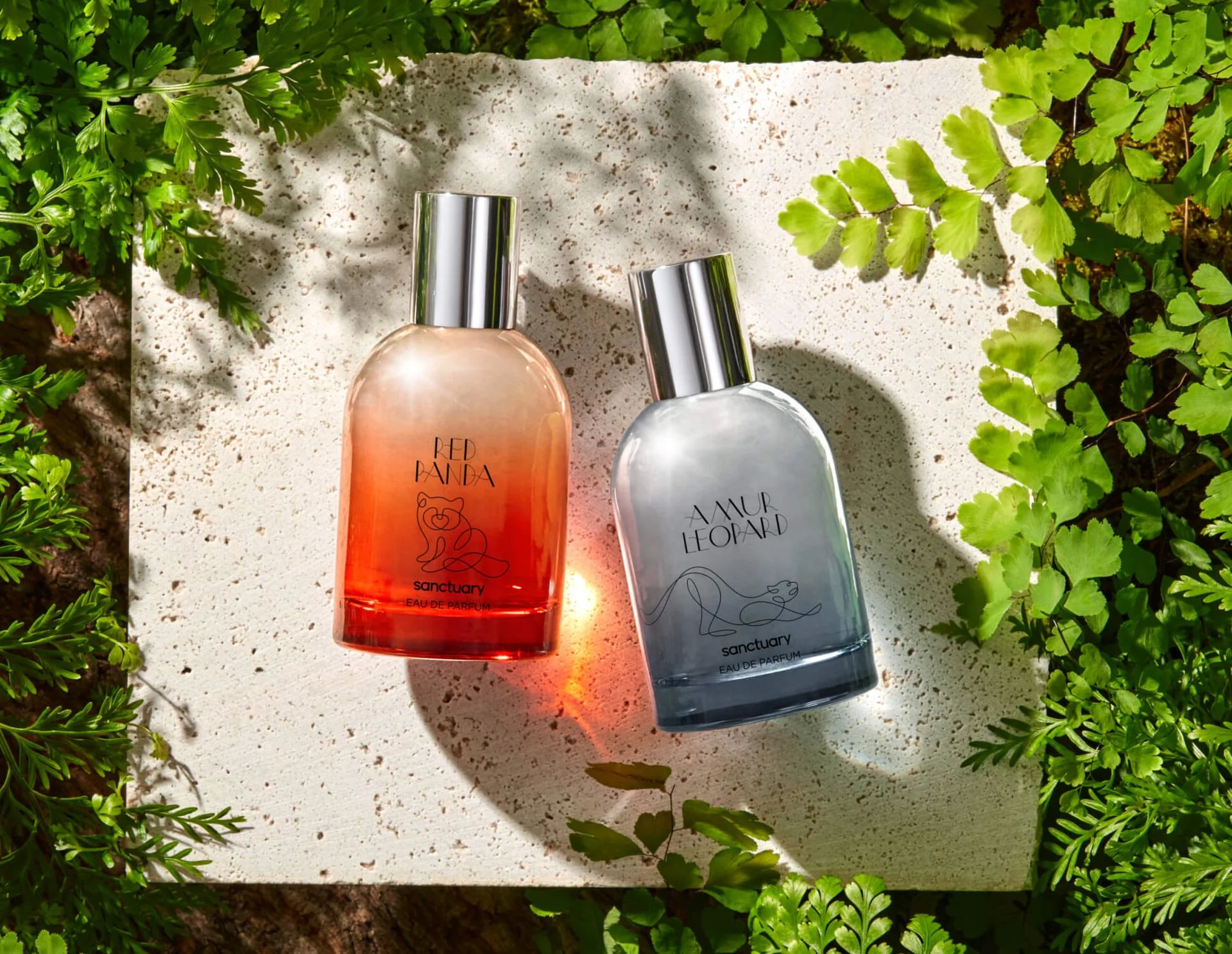 Amur Leopard Sanctuary perfume - a fragrance for women and men 2021