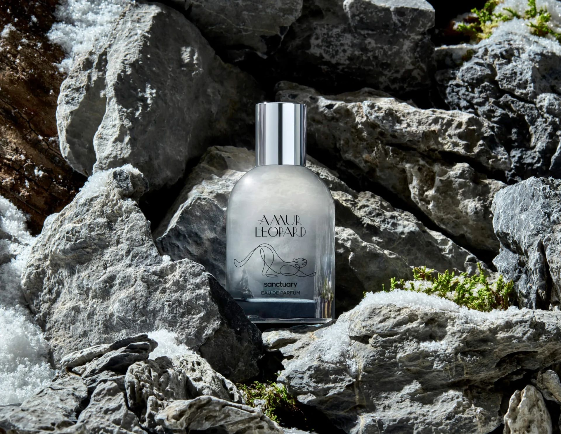 Amur Leopard Sanctuary perfume - a fragrance for women and men 2021