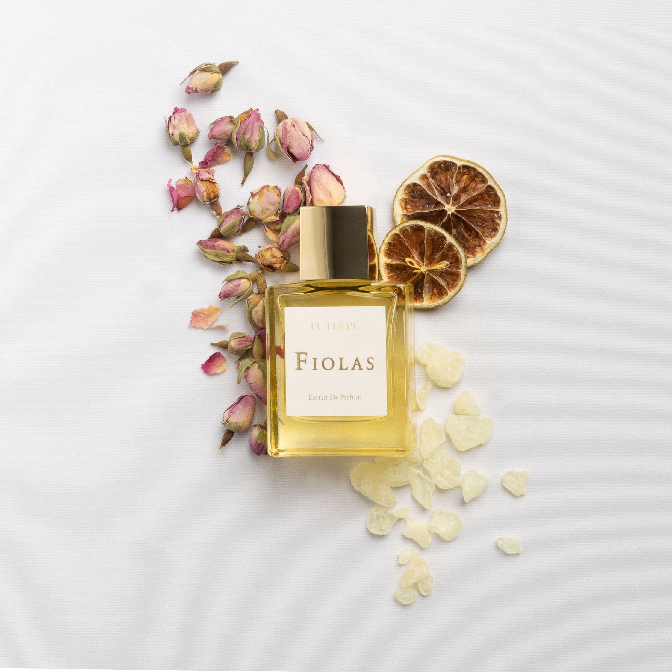 Euterpe Fiolas Parfum - ein es Parfum für Frauen und Männer 2022